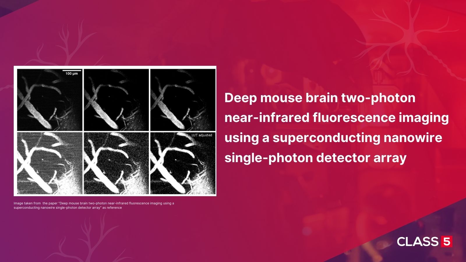 Paper Alert: How deep can you image with 2-photon microscopy? - Class 5 ...
