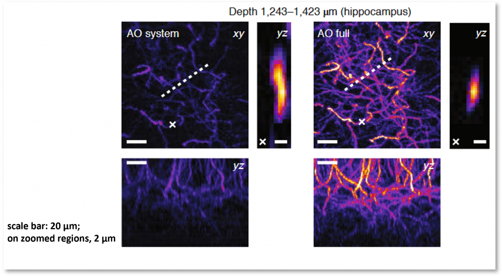 New Laser for 3P Microscopy: The tunable White Dwarf WD-1300-1700-pro ...