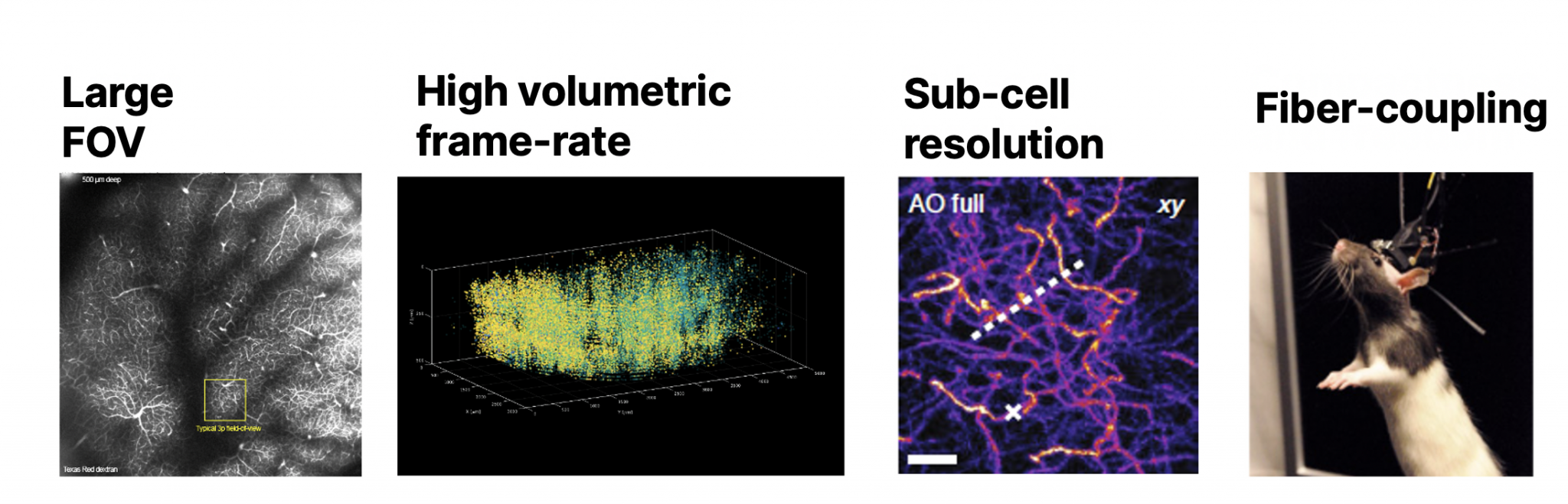 Scaling functional brain imaging with advanced high-power multi-photon ...
