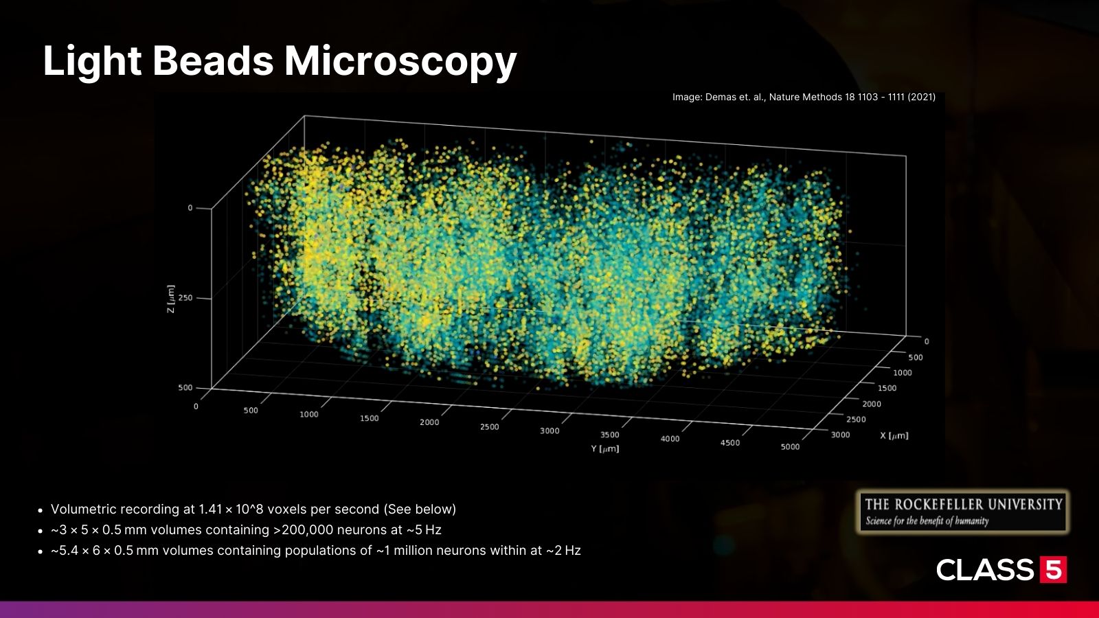 See 1 Million Neurons Fire with Light Beads Microscopy and White Dwarf ...