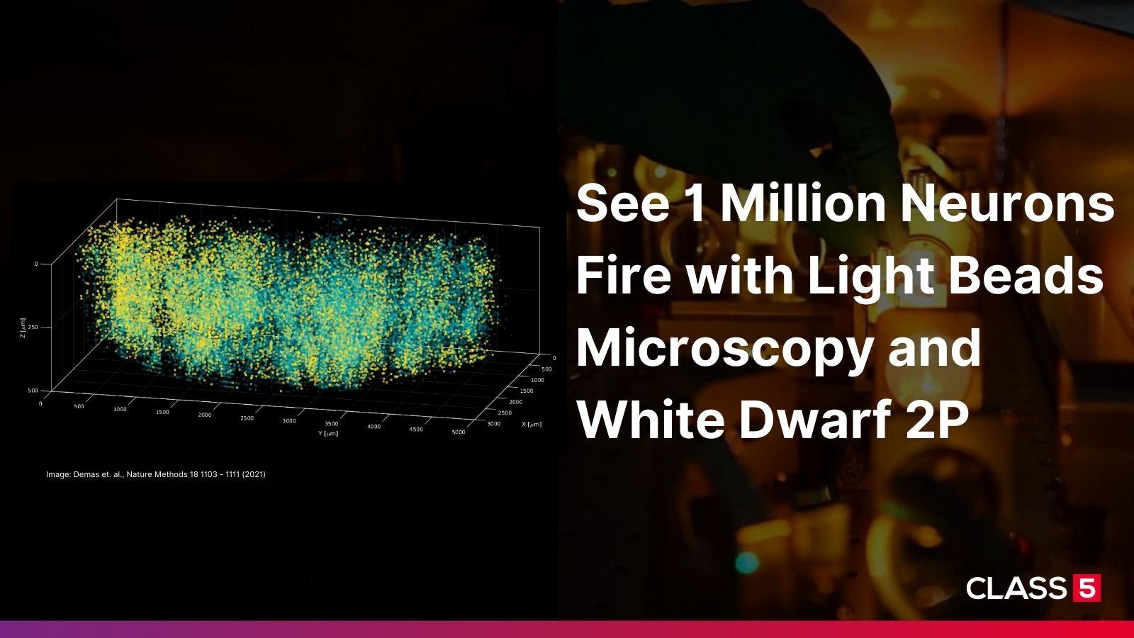 See 1 Million Neurons Fire with Light Beads Microscopy and White Dwarf ...