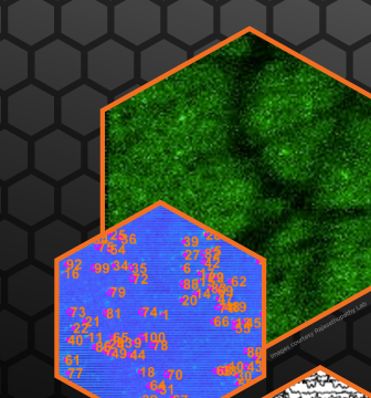 Scanned temporal focusing in multi-photon microscopy - Class 5 Photonics